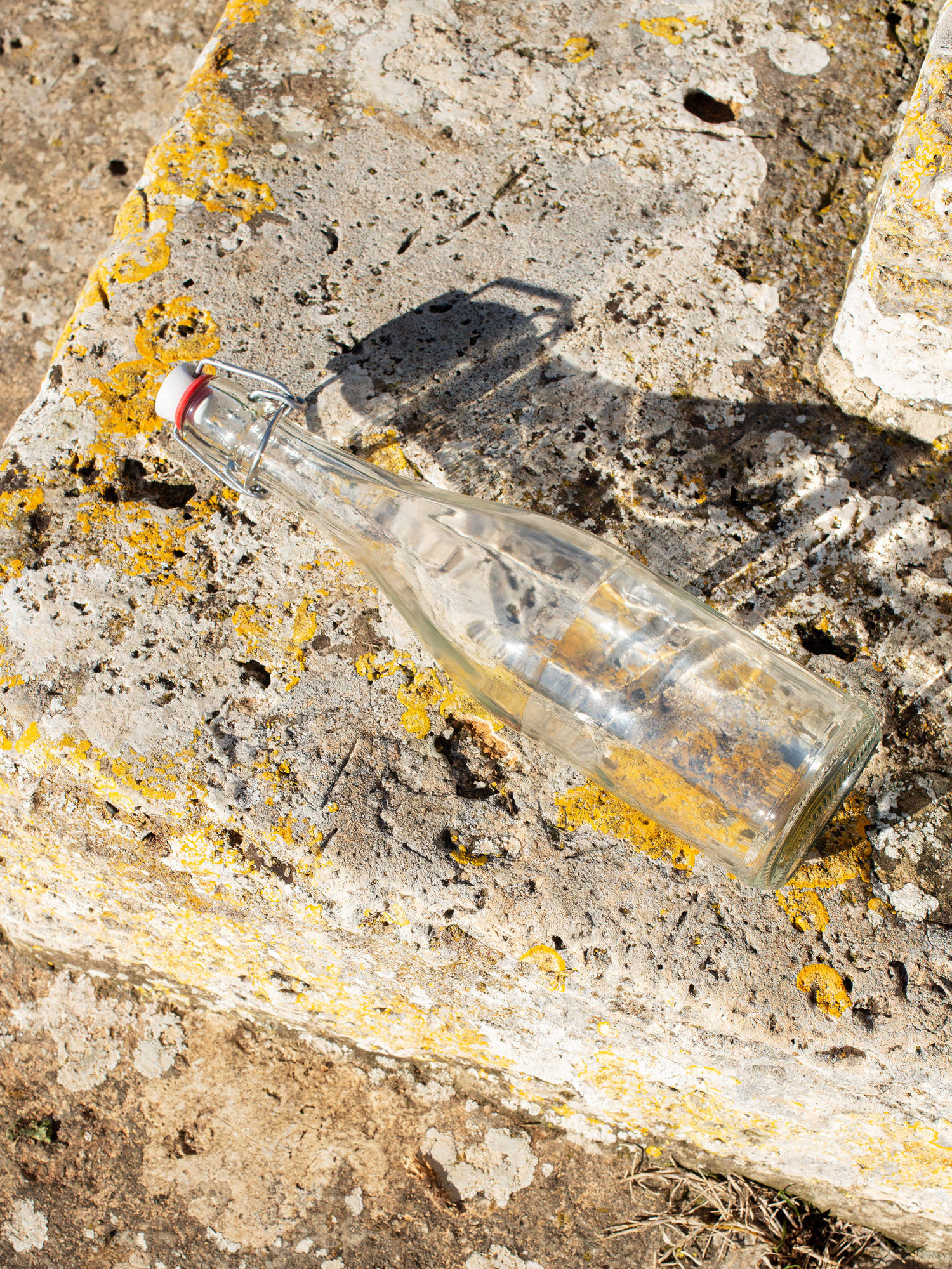 La bouteille à clipser - STEFANIA DI PETRILLO