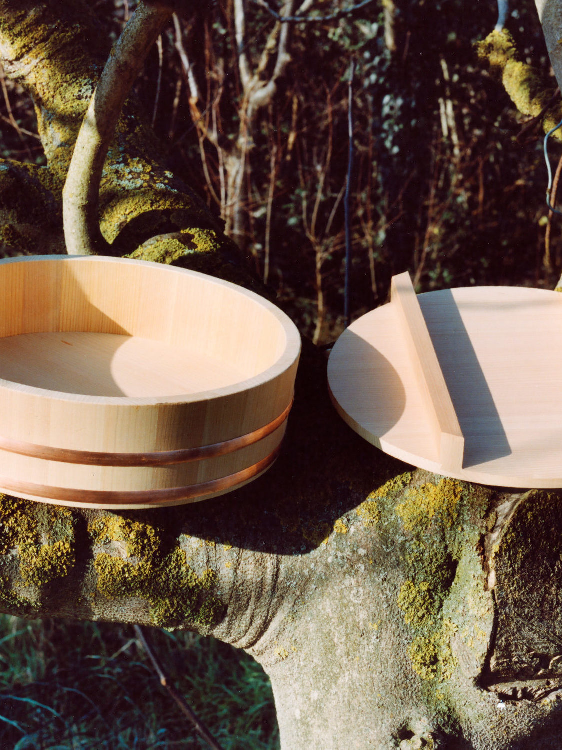 le hangiri - STEFANIA DI PETRILLO