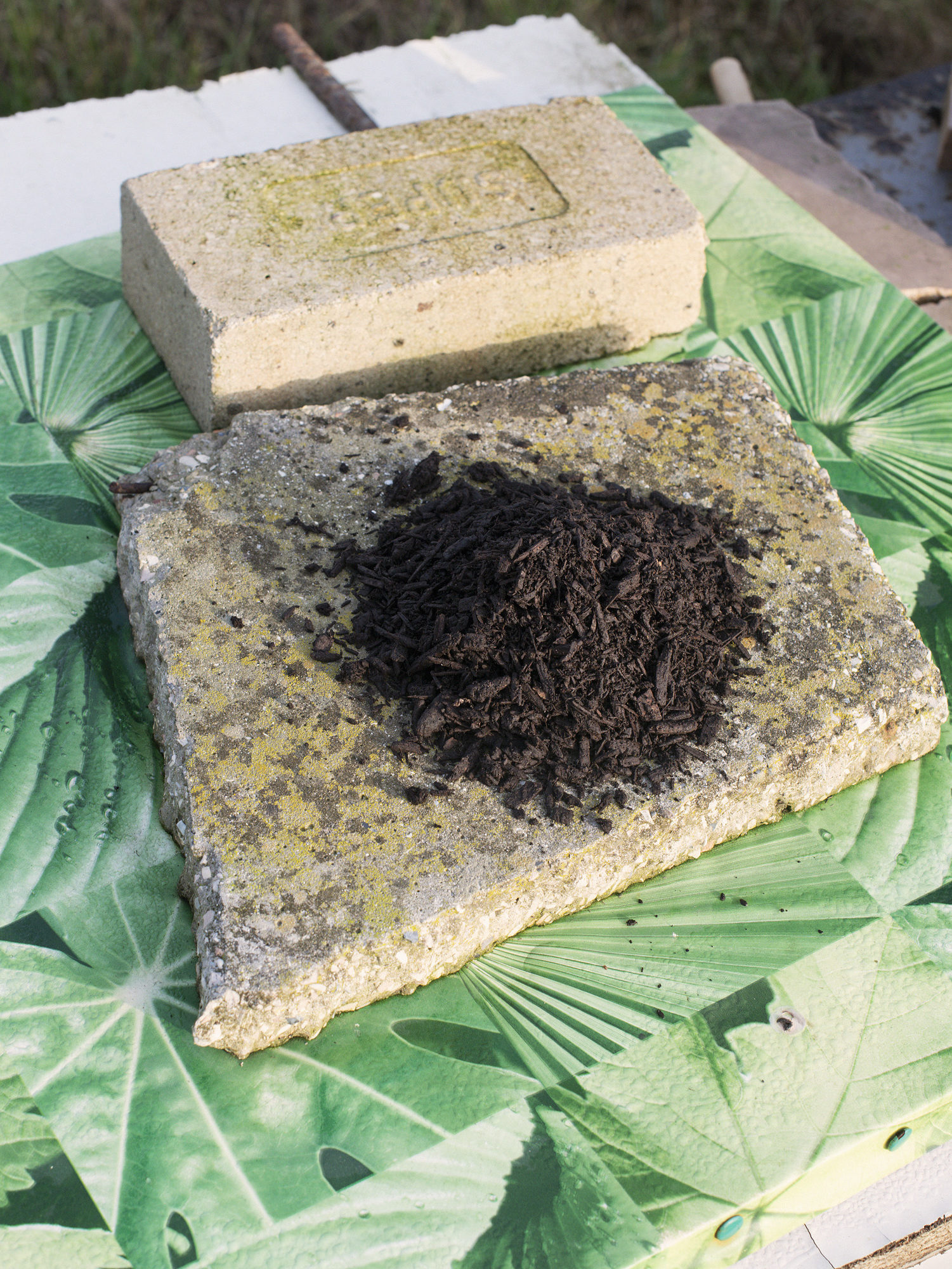 Le sac de compost - STEFANIA DI PETRILLO